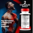Vigor Fix Pills, Vigor Fixed Herbal Support, Daily Nutrition for ...