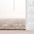 Beige/Dark Red, 2'8" x 8', Vintage Medallion, Soft and Cozy, High ...