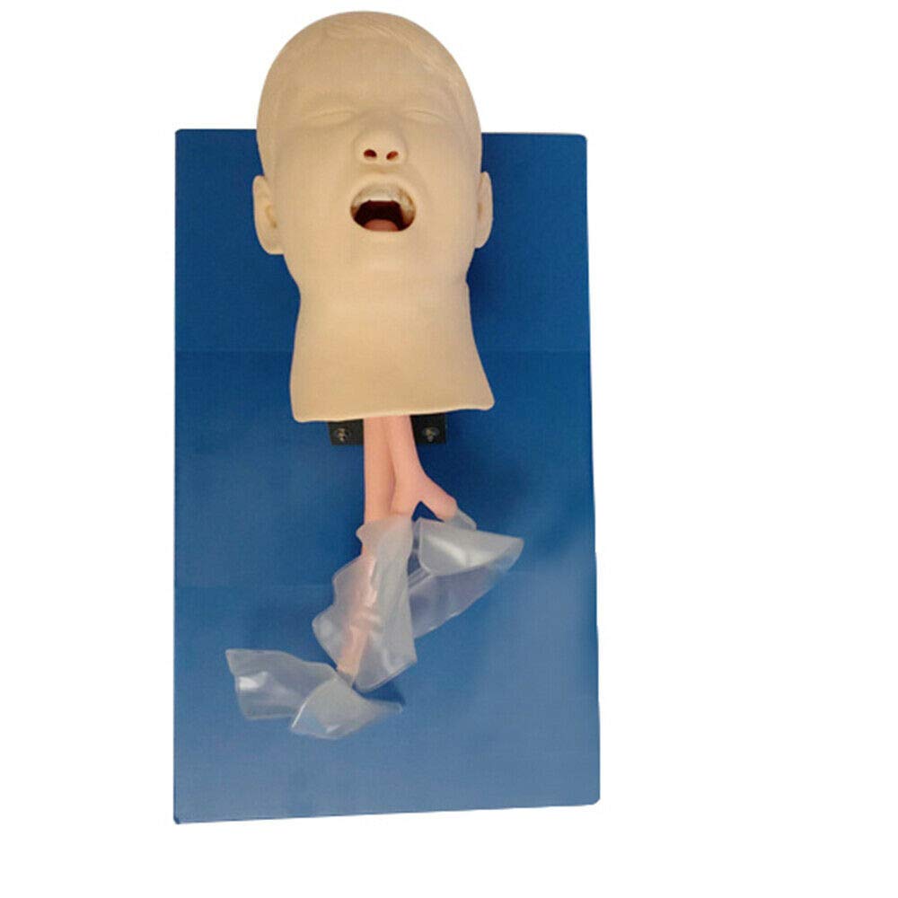 Child Intubation Model Airway Management Trainer Study Teaching Model W ...