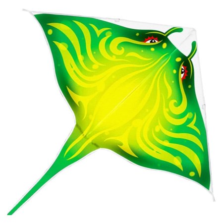 Fiberglass Frame Animal Kite Triangular Waterproof Flying Triangular ...