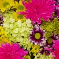 Real Mixed Premium Hydrangea Princess Bouquet - Assorted Colors - Large ...