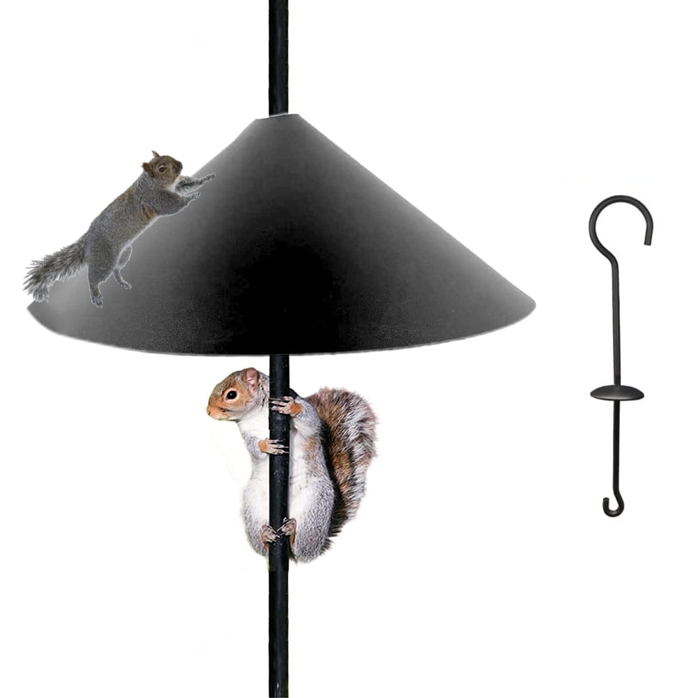 Tookss Squirrel Proof Baffle Anti-eating Rotatable Design Squirrel ...