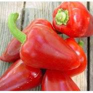 Mini Bell Red Sweet Pepper Garden Seeds - 500 Seeds - Non-GMO Vegetable ...
