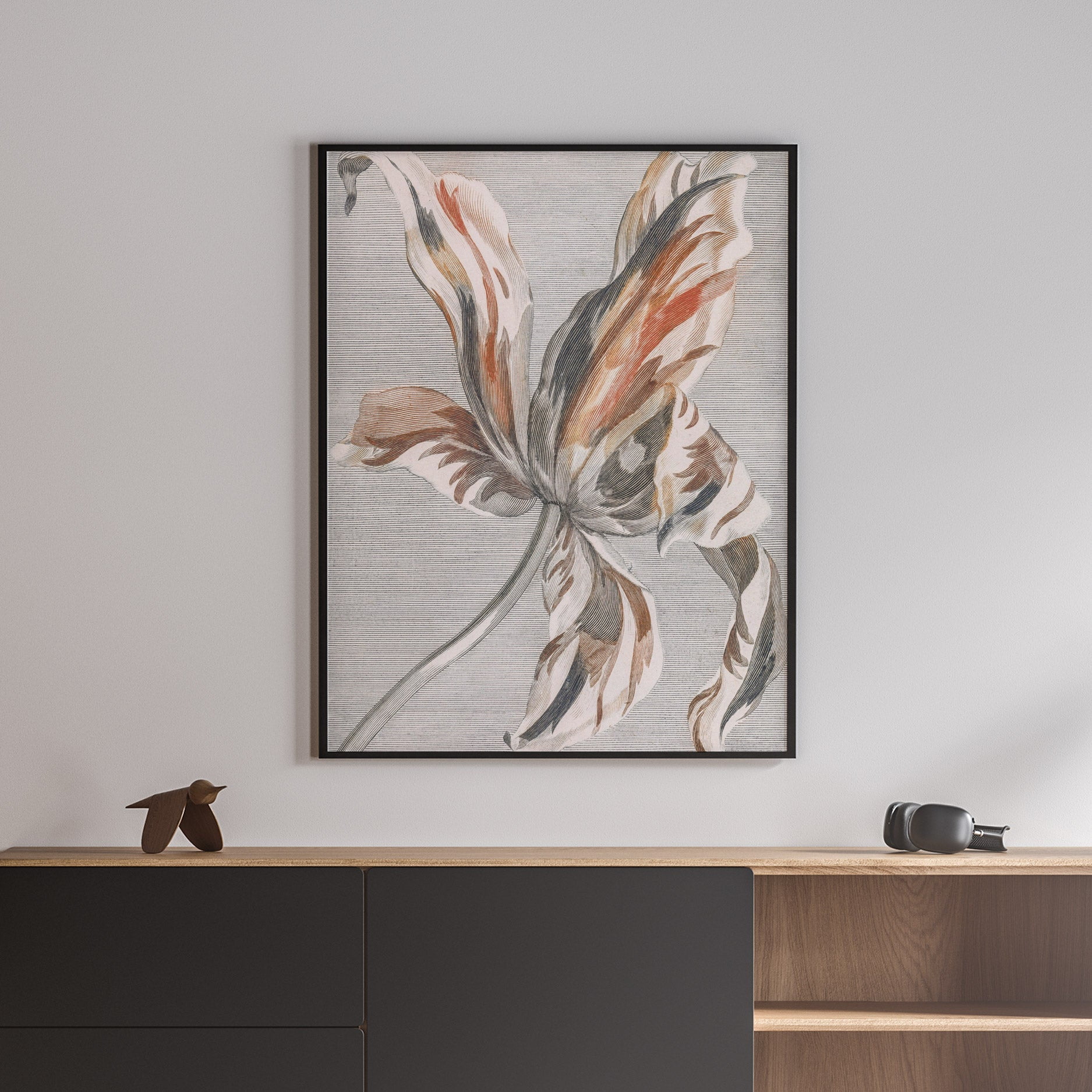 Tulip - 1648-1709 | Johan Teyler | Premium Fine Art Print | 18th ...