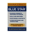BlueStar Antibacterial Ointment, Pain Relief, 2 oz Pack of 4, For Skin ...