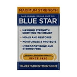 BlueStar Antibacterial Ointment, Pain Relief, 2 oz Pack of 4, For Skin ...