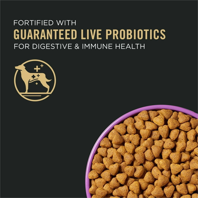 Purina Pro Plan High Protein, Cognitive Health Dry Dog