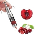 Fruit Olive Pitter Tool Handheld Kitchen Fruit Remover Kit Machine ...