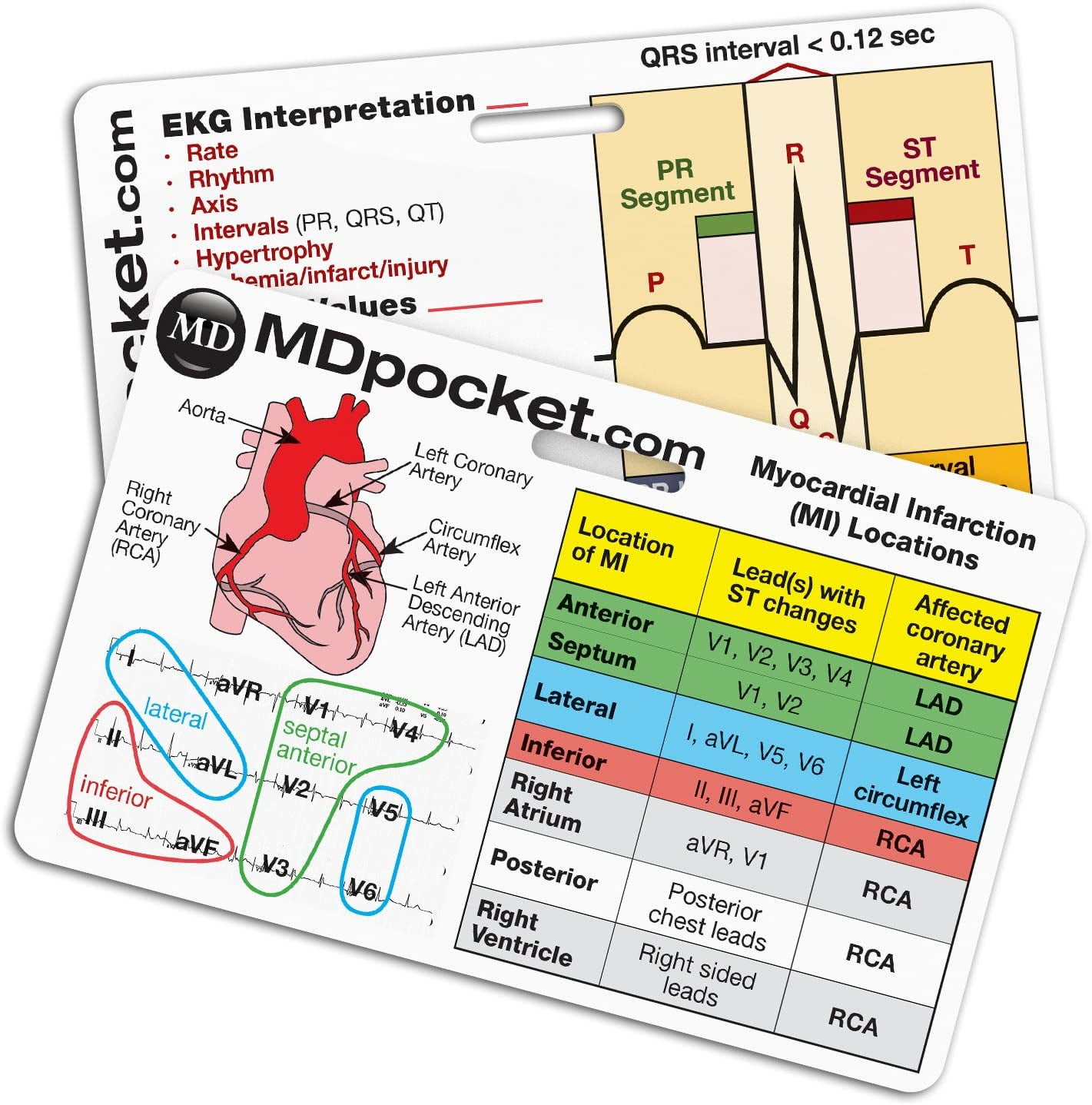 Rapid ID - EKG & Myocardial Infarction (Horizontal) | Walmart Canada