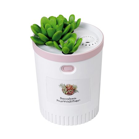 Succulents Mini Humidifier USB Air Purifier Ultrasonic Humidifier for ...