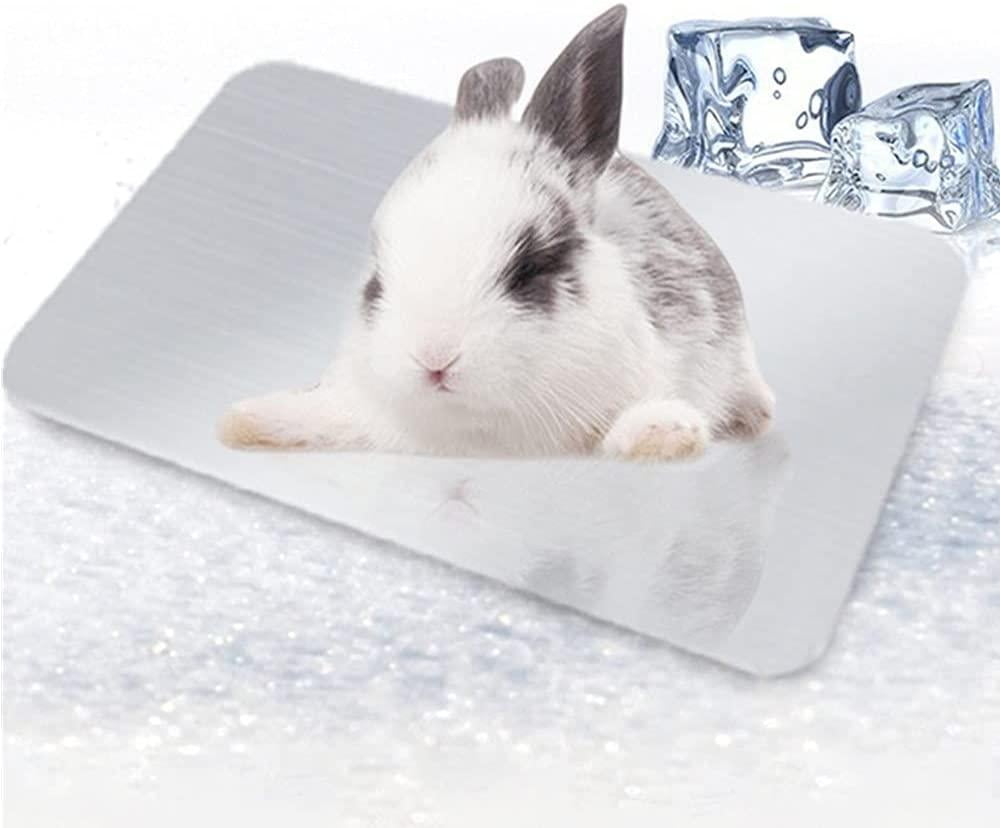 Kittens And Puppies And Bunnies And Hamsters