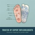 Reflex Therapy Socks, Reflexology Socks with Tools, Acupressure Foot ...