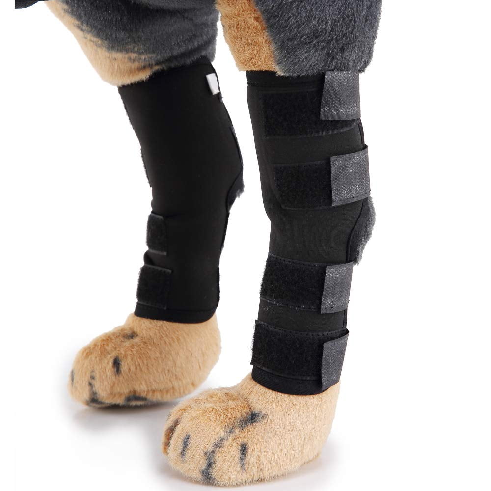 BT Bear Dog Leg Brace, 2PCS Knee Leg Protector Hock Joint Extra ...