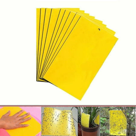 20 Yellow Sticker Fly Traps For Sticky Traps For White Flies, Aphids ...