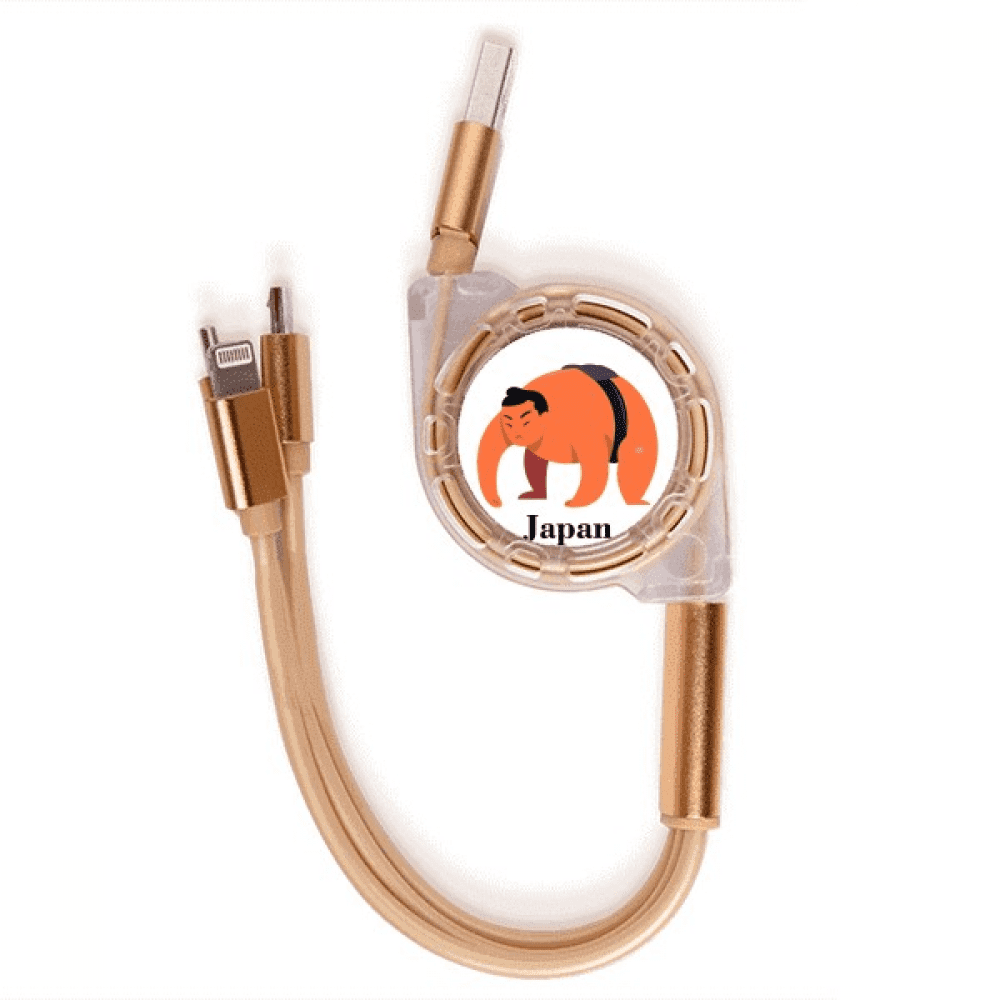 Traditional Japanese sumo wresting Cable de carga telescópico múltiples ...