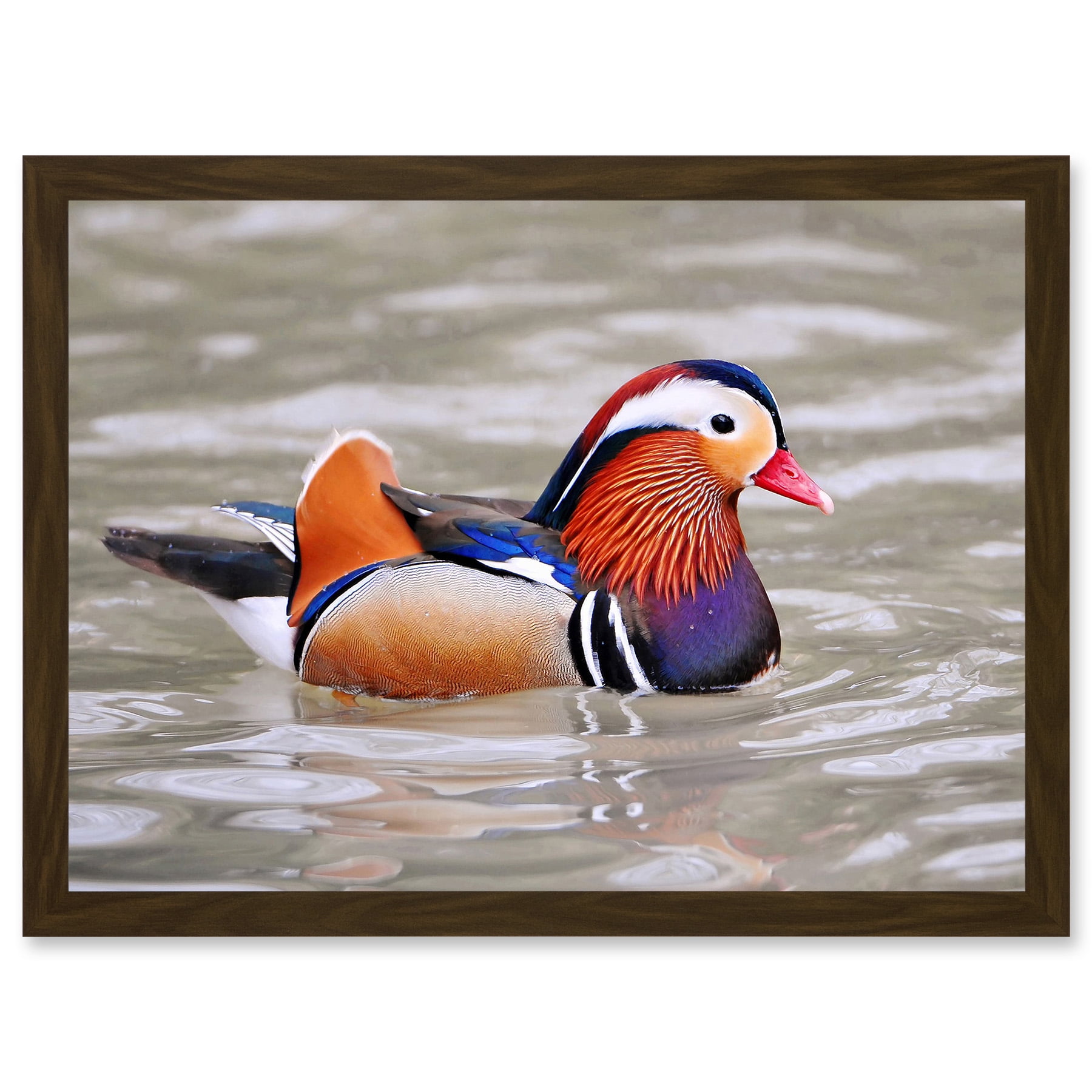Animal Photo Bird Male Mandarin Duck Artwork Framed Wall Art Print A4 ...