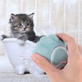 ACDANC 2026 New Pet Bath Brush Kitten Bathing Shower Hair Remover ...
