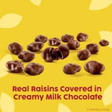 Raisinets, Milk Chocolate Covered California Raisins, Bulk Box, 3.1 oz ...