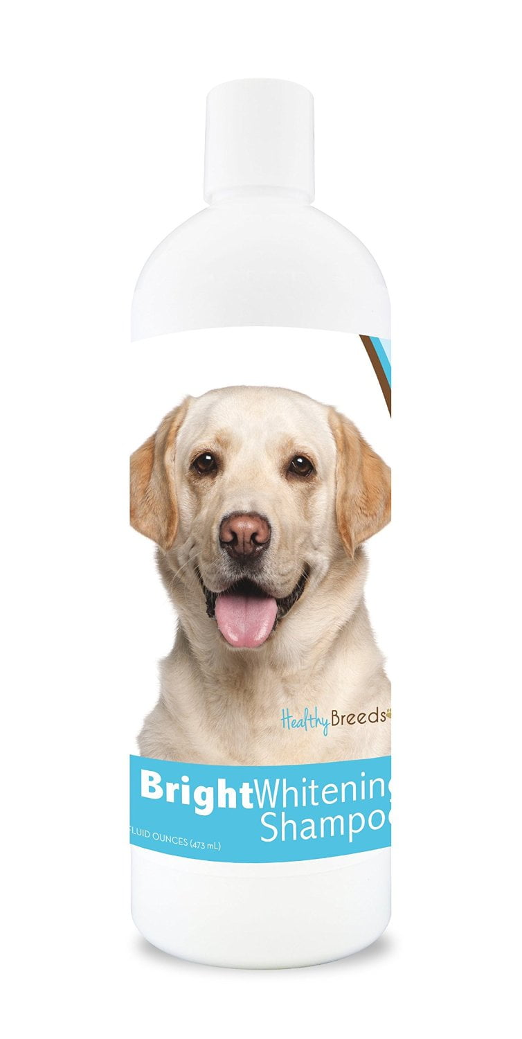 Healthy Breeds Labrador Retriever Bright Whitening Dog Shampoo 12 oz ...