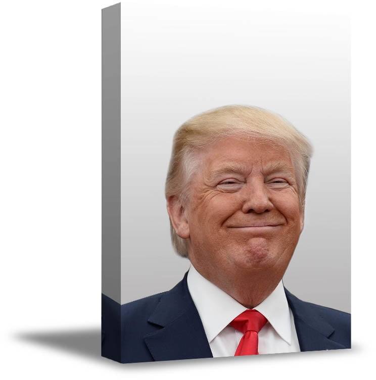 Awkward Styles Iconic Donald Trump Poster Portrait Patriotic Canvas ...
