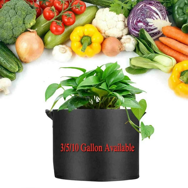 3/5/10 Gallon Grow Bags, Fabric Pots with Handles - Walmart.com