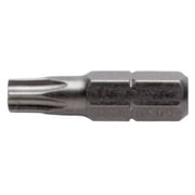 T40 Torx Bits