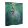 Stupell Industries Coastal Beach Sea Turtle Canvas Wall Art, design by ...
