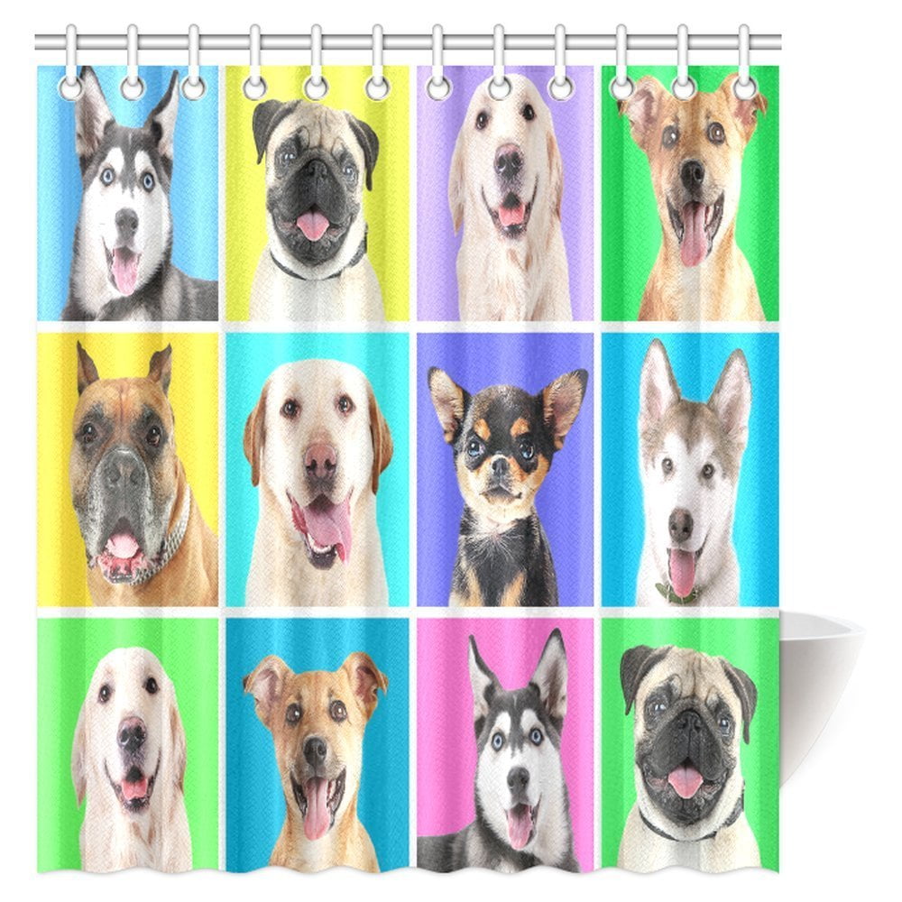 MYPOP Portraits of Cute Dog Breeds on Colorful Backgrounds Profiles ...
