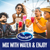 Ocean Spray On-The-Go Powdered Drink Mix, White Cran Strawberry, Zero ...
