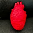 Realistic Heart Props for Halloween Party Decorations and Scary Pranks ...