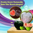 Magic Heart-shaped Watermelon Shaping Growth Molds - Walmart.com Magic Heart-shaped Watermelon Shaping Growth Molds - Walmart.com
