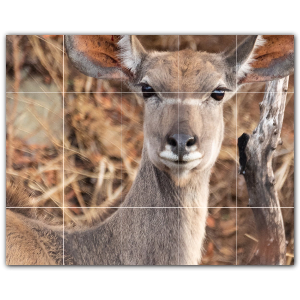 Picture-Tiles.com: Deer Ceramic Tile Wall Mural WAL500459-54XL. 60"W x ...