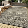 6 X 9 ft Plastic Black and Dark Brown Rectangular Beach Front Porches ...