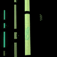 Catfish Pro Tournament Series 2.0 Glow-in-the-Dark Catfish Casting Rod ...