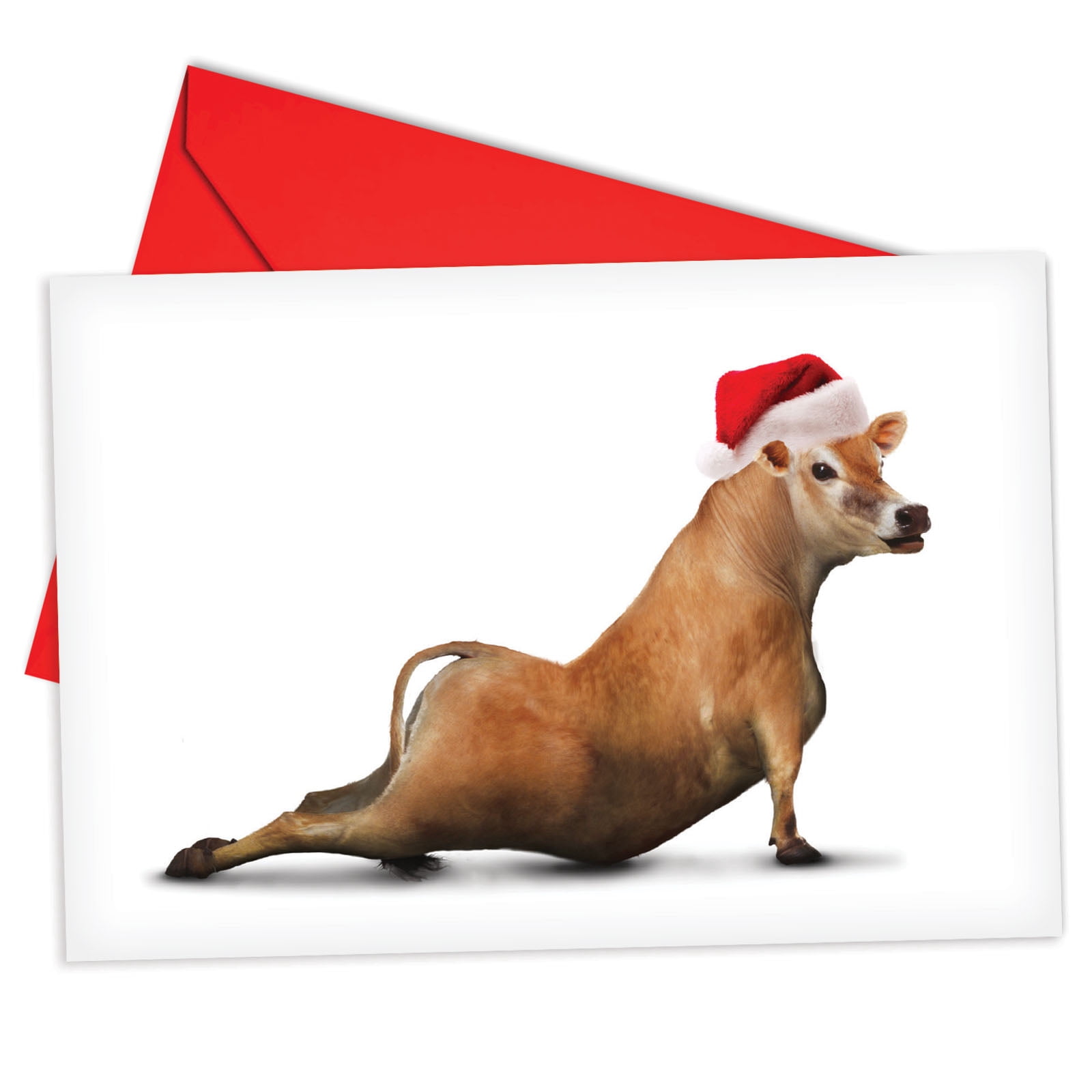 Bovine Nirvana 12 Boxed Farm Animal Christmas Cards With Envelope Bovine Nirvana 12 Boxed Farm Animal Christmas Cards With Envelope