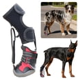 Dog Foot Brace with Reel for Dog with Foot Issue,and Improving Walking ...