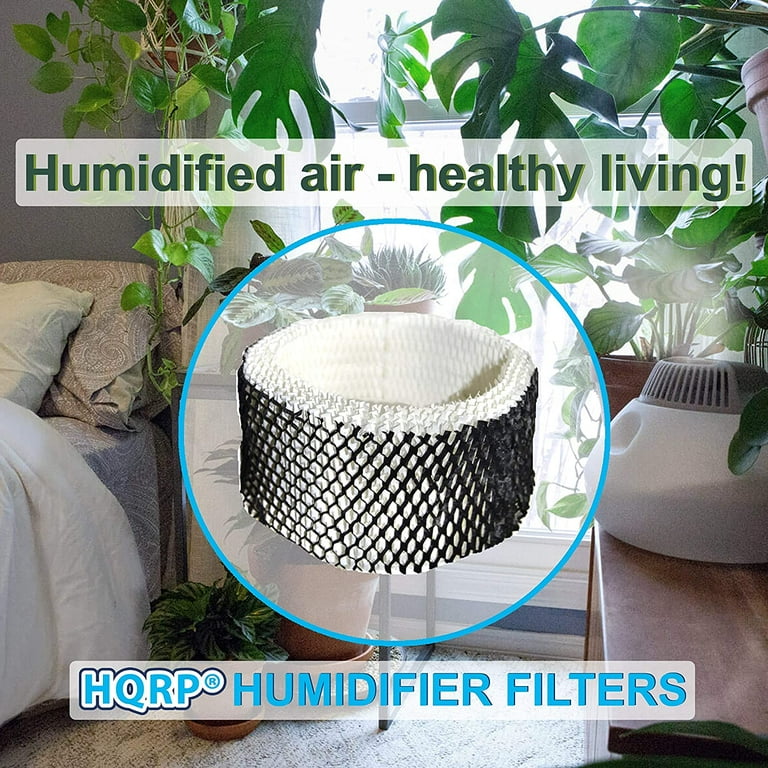 Sunbeam humidifier filter type a store