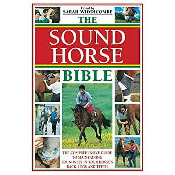 Sound Bible