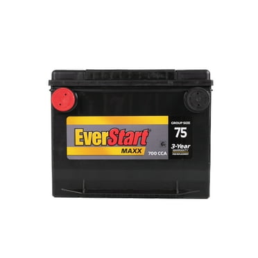 EverStart Platinum AGM Automotive Battery, Group Size S46B24R 12 Volt ...