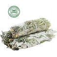3 Pack Mixed White Sage and Copal Leaves Smudge Sticks | Grown in California Smudge Bundles with ...
