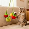 Interactive Fruit-Shaped Catnip Toy Strings, Small Persimmon and Cherry ...