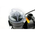 PENTAIR 340210 Dynamo Above Ground Swimming Pool Pump 1.5 Hp w/3' Cord ...