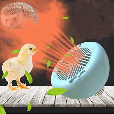 Free Shipping! Cozy Coop Chicken Coop Heater, 200-Watt, Safe Radiant ...