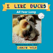 Quack and Count (Board Book) - Walmart.com