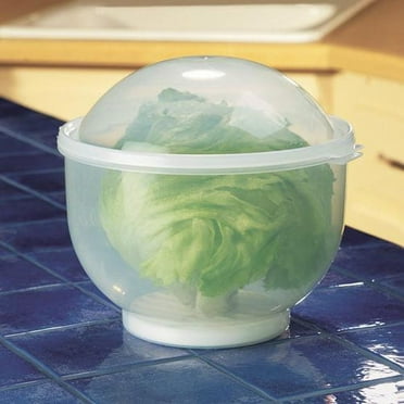 Progressive Prepworks Lettuce Keeper Food Storage , 4.7 Qt, Green Lid ...