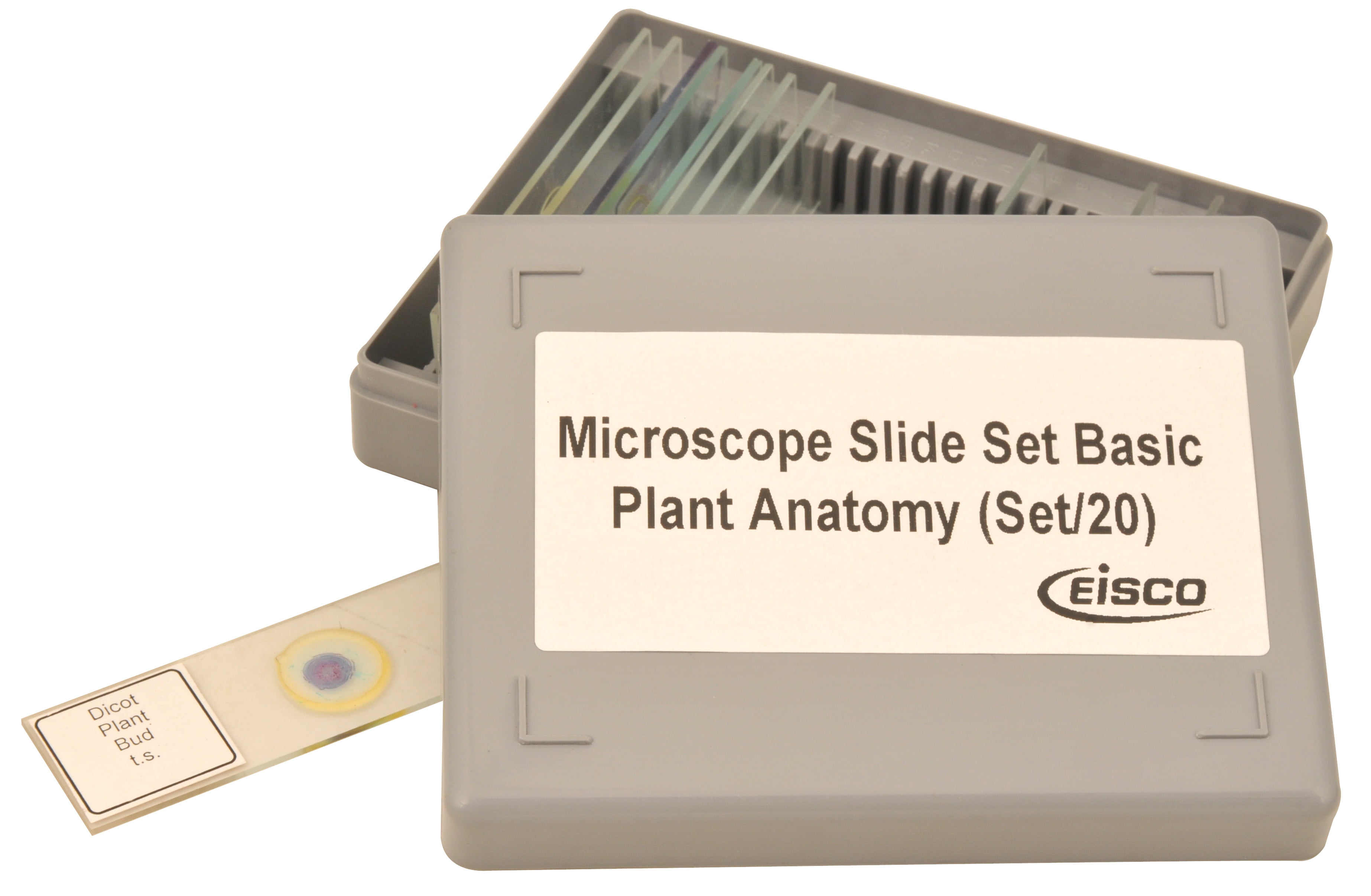20Pcs Prepared Microscope Slides Set of Plant Anatomy - Classroom Set ...