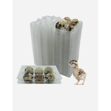 KOHAND 50 Pack Half Dozen Egg Carton, 6 Count Paper Pulp Egg Cartons ...