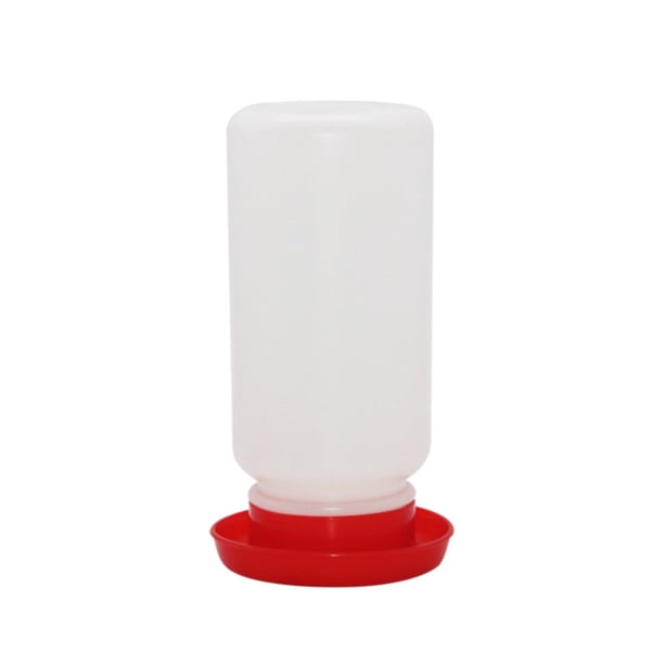 Poultry Feeder Stable Poultry Water Jug Smooth Water Automatic Chicken ...
