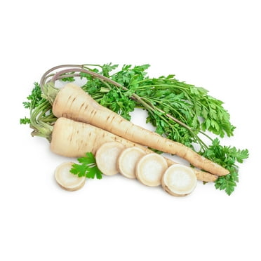 Parsnip, Harris Model, Heirloom, Non GMO, 200 Seeds, Parsnip Seeds for ...