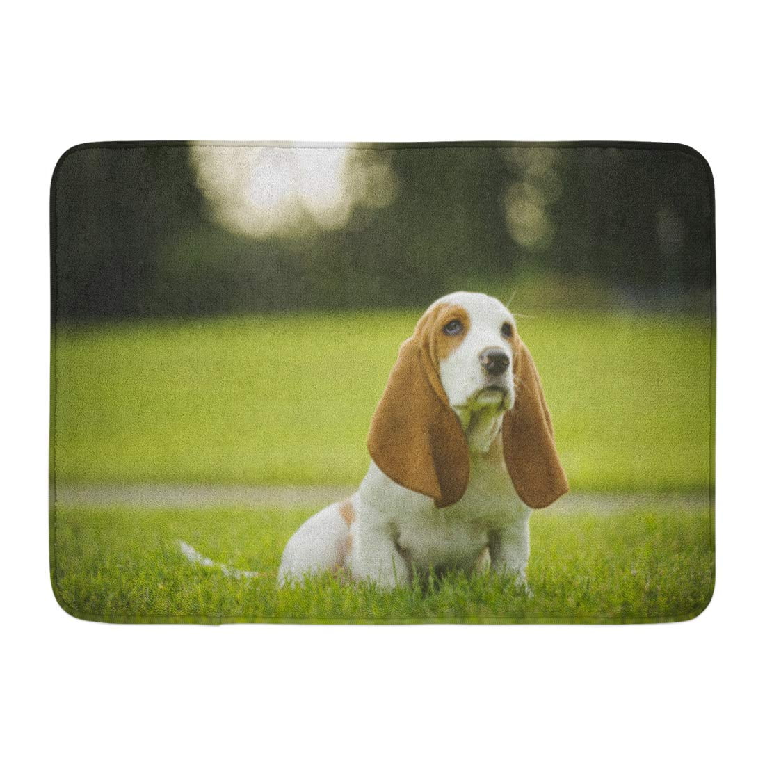 GODPOK Cute Dog Basset Hound Puppy Sitting in The Park Animal Grass Rug ...